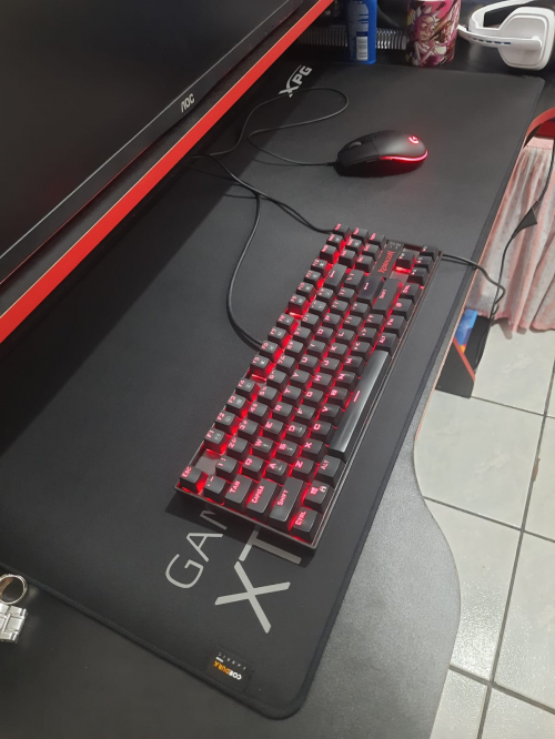 Create a Tierlist Importance SETUP Tier List - TierMaker