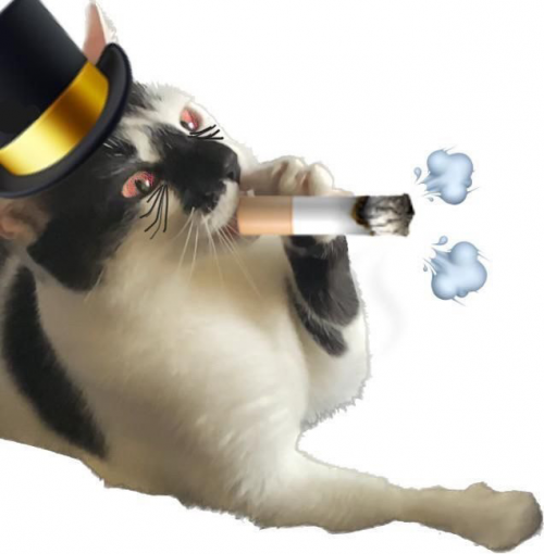 Create a Tierlist memes gymteam Tier List - TierMaker