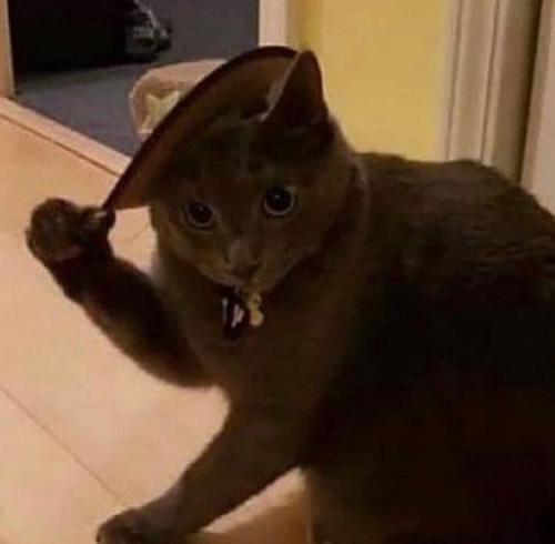 Create a TierList Originelle Café Tier List - TierMaker