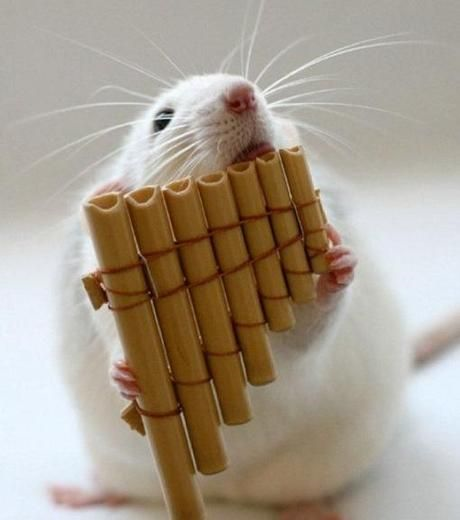 tilines funables Tier List (Community Rankings) - TierMaker