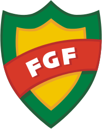 Create a times de futebol gaucho Tier List - TierMaker