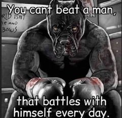 Create a Toad Media Tier List - TierMaker