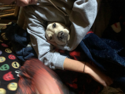 Tomin rankings Tier List (Community Rankings) - TierMaker