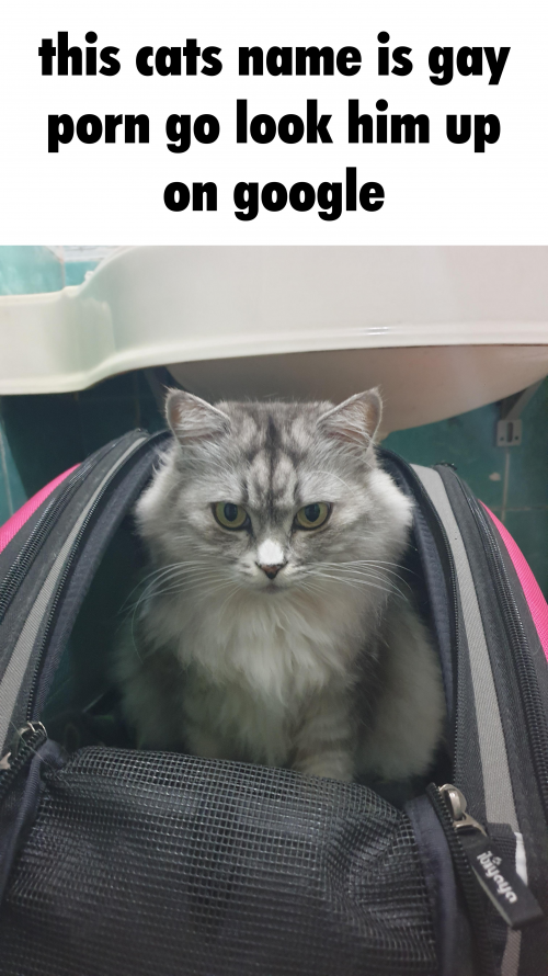 Top 100 but no really, icons rank Tier List (Community Rankings ...