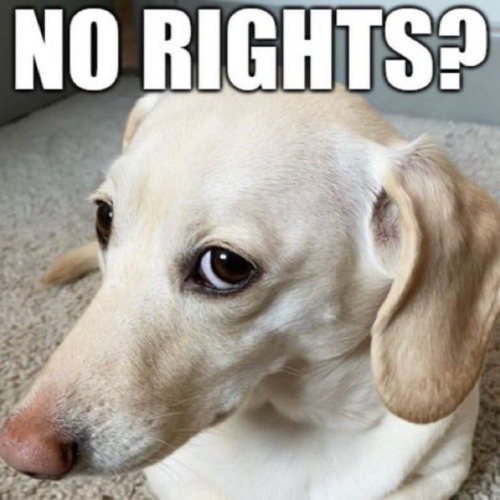 top 15 Tier List (Community Rankings) - TierMaker