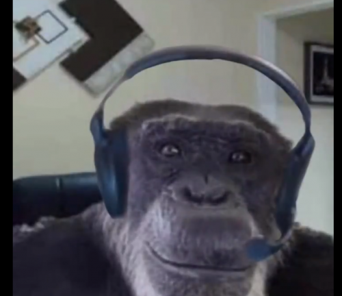 Top FIAK. Tier List (Community Rankings) - TierMaker