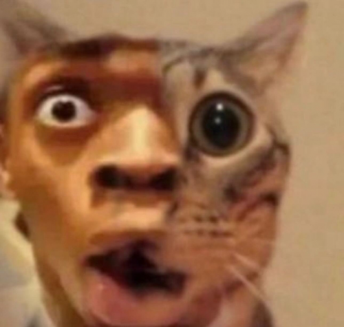 TOPPERS 302 Tier List (Community Rankings) - TierMaker