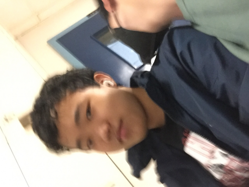 Create a Totem pole of trust Tier List - TierMaker