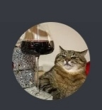 Townthrive nationality Tier List (Community Rankings) - TierMaker