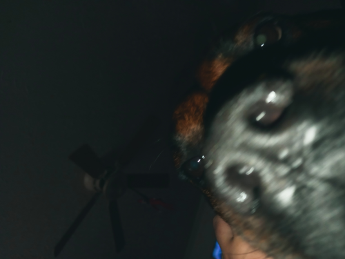 Toxic bleach (pvp wise) Tier List (Community Rankings) - TierMaker