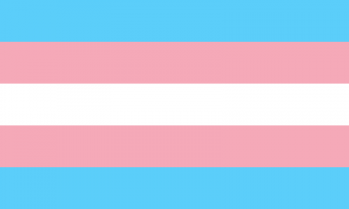 Create A Common Trans Names 🤭 Tier List Tiermaker