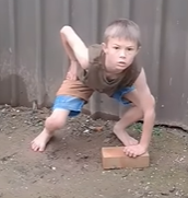 Create a Twig forms Tier List - TierMaker