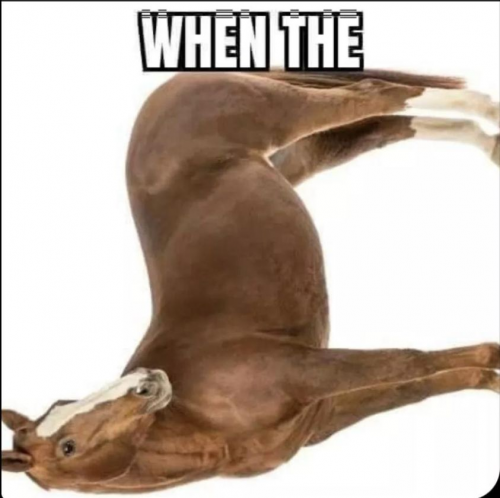 types of women (revamped) Tier List (Community Rankings) - TierMaker