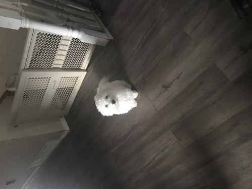 Uc Tier List (Community Rankings) - TierMaker