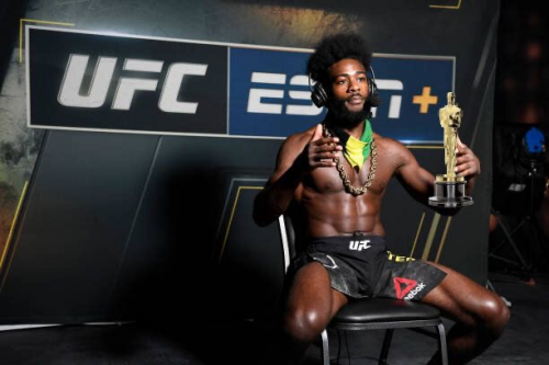 Create a UFC Fan Base List Tier List - TierMaker