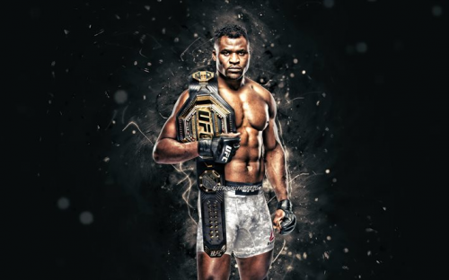 Create a UFC HEAVYWEIGHT DIVISION Tier List - TierMaker