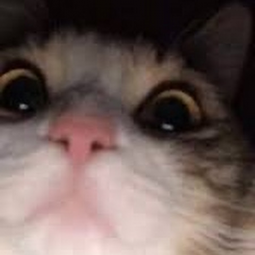 Create a Ultimate CToM Tier List - TierMaker