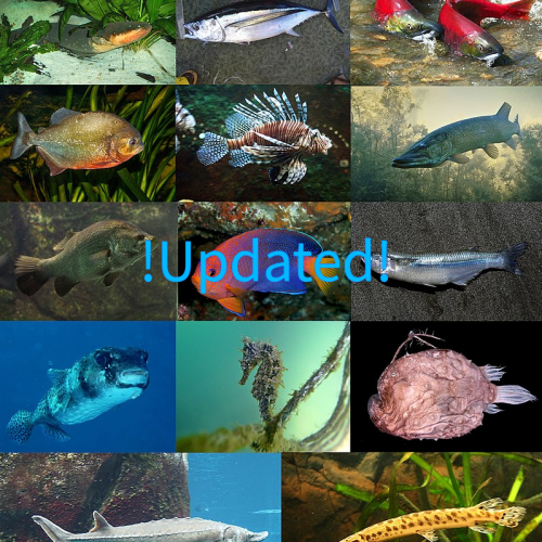 Create a Every Fish Ever Tier List - TierMaker