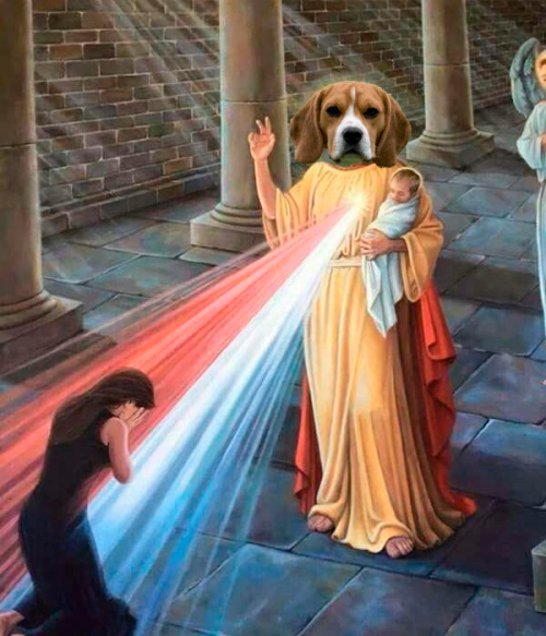 Create a ULTIMATE Salseo TierList Tier List - TierMaker