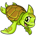 Unconverted Maraquan Neopets Tier List (Community Rankings) - TierMaker