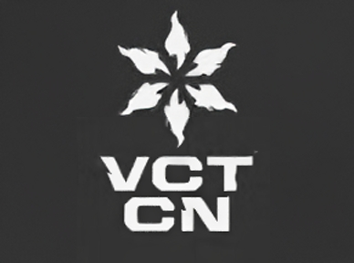 Create a VCT CN Teams (T1 and below) Tier List - TierMaker