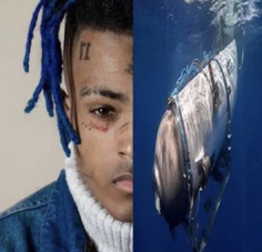 Create a VHS OMB albums Tier List - TierMaker