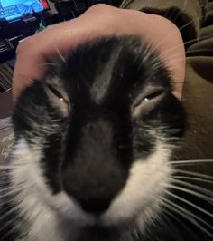 Videos de amortegui en todos sus canales Tier List (Community Rankings ...