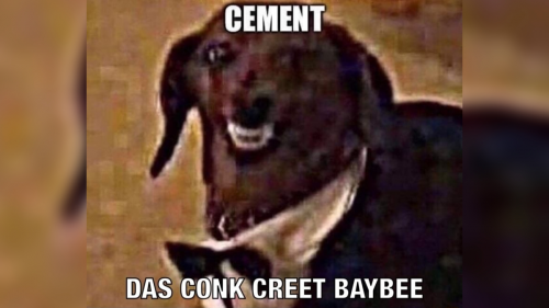 Create a V.I.D.s (Very Important Dogs) Tier List - TierMaker