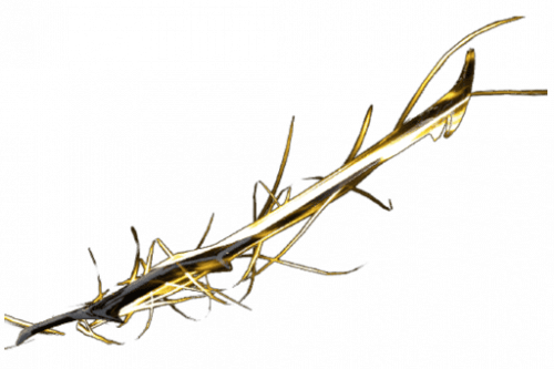 Warframe - exalted weapons Tier List (Community Rankings) - TierMaker