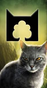 Create A Warrior Cat Tier List Tiermaker