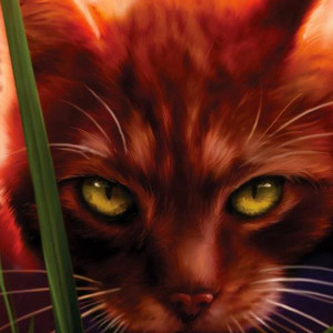 Create a Warrior Cats • Constant Updates • V2 • SOTC Update Tier List ...