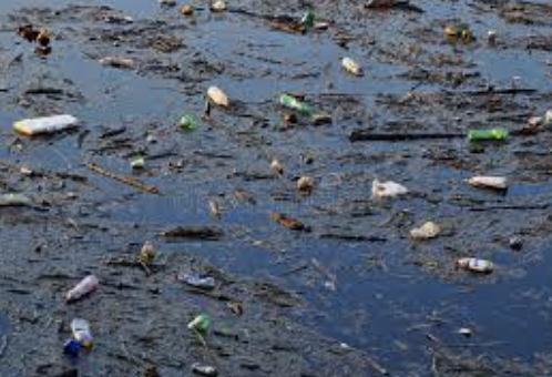 Create a Water Pollution Trivia Tier List - TierMaker