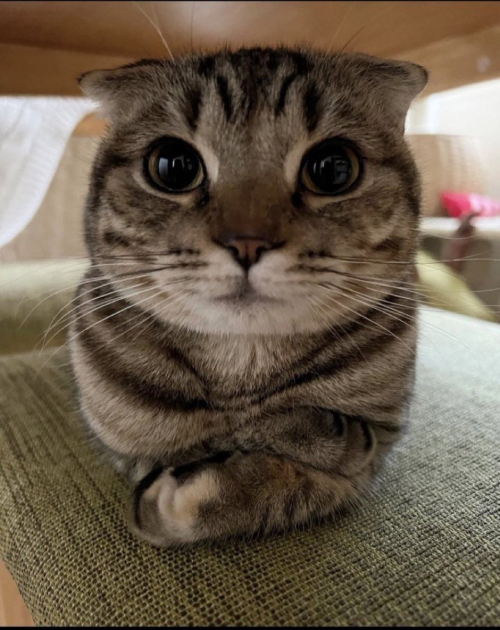 Create a Weirdo Tier List - TierMaker