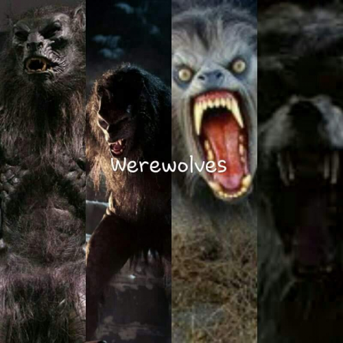 Create a werewolf designs in live action film Tier List - TierMaker