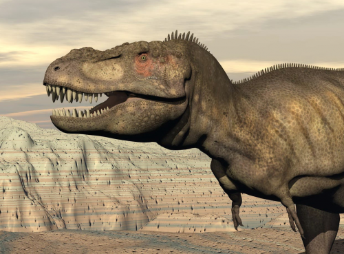 what da hail Tier List (Community Rankings) - TierMaker