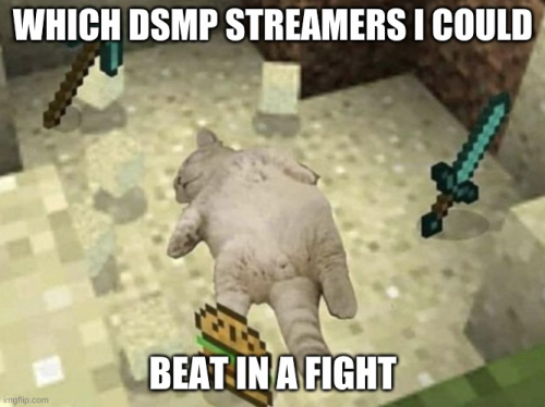 Create a Which Dsmp streamers could I beat in a fight Tier List - TierMaker