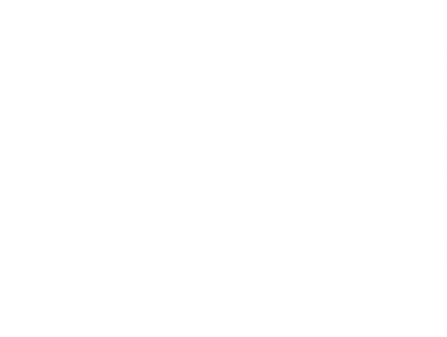 Create a White tierlist Tier List - TierMaker