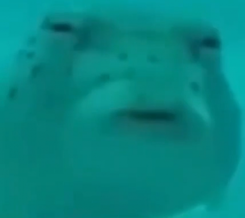 Create a Who is good? Tier List - TierMaker