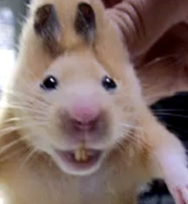 Create a Who would you date Tier List - TierMaker