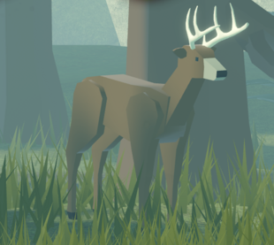 wild west animals 2021 pog Tier List (Community Rankings) - TierMaker