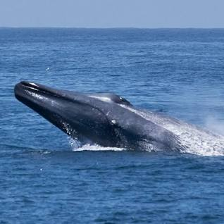 women rank Tier List (Community Rankings) - TierMaker