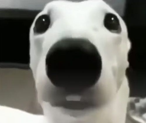 Create a Word Tier List - TierMaker