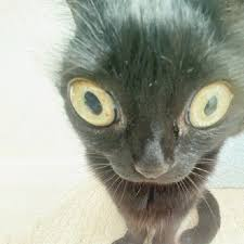 Create a world lit real Tier List - TierMaker