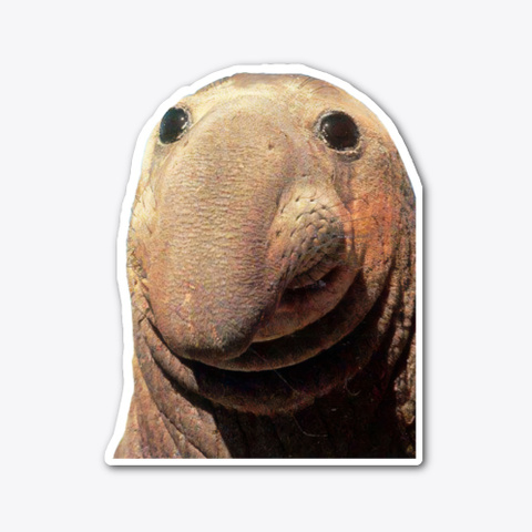 wosh Tier List (Community Rankings) - TierMaker