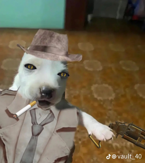 Would fallout 4 companions listen to ice spice Tier List (Community ...