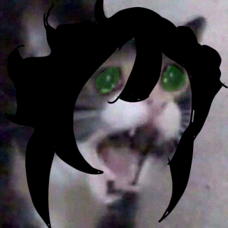 Create a WRA Tier List - TierMaker