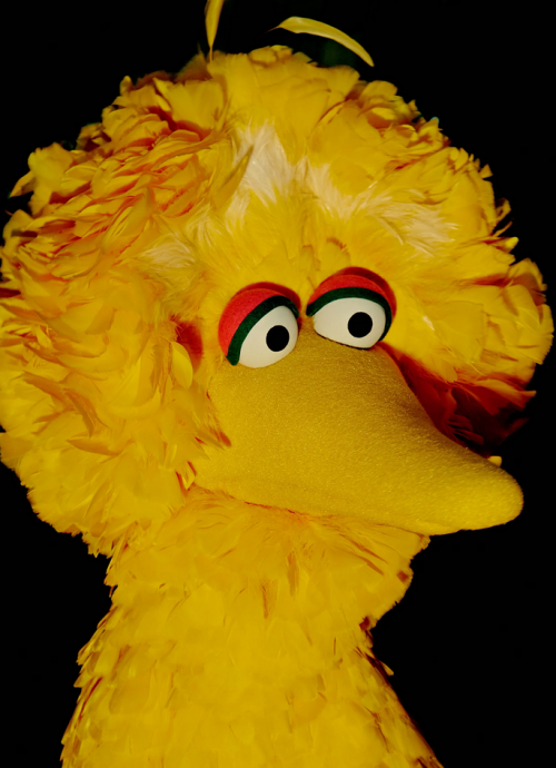 Create a yellow guys Tier List - TierMaker