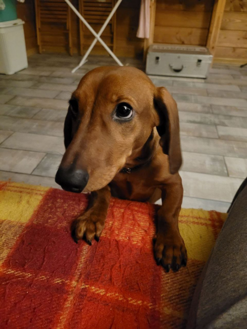 Yes Tier List Community Rankings Tiermaker