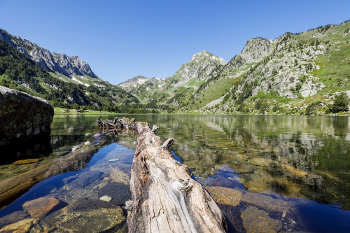 Create a Yippee Les Pyrénées Tier List - TierMaker