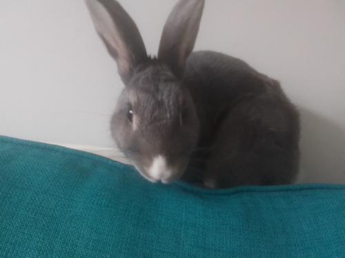 YouTuber rating Tier List (Community Rankings) - TierMaker